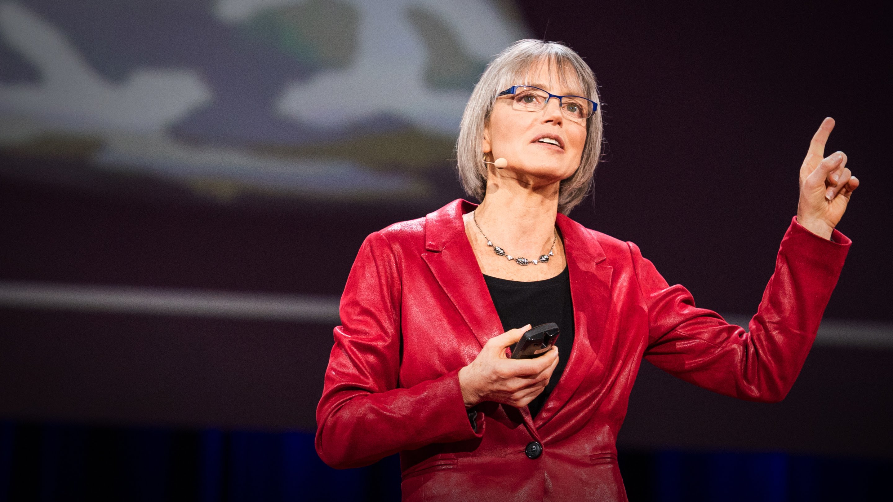 Nancy Kanwisher: A neural portrait of the human mind - The Mind Voyager