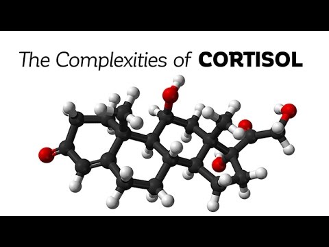 The Complexities of Cortisol - The Mind Voyager