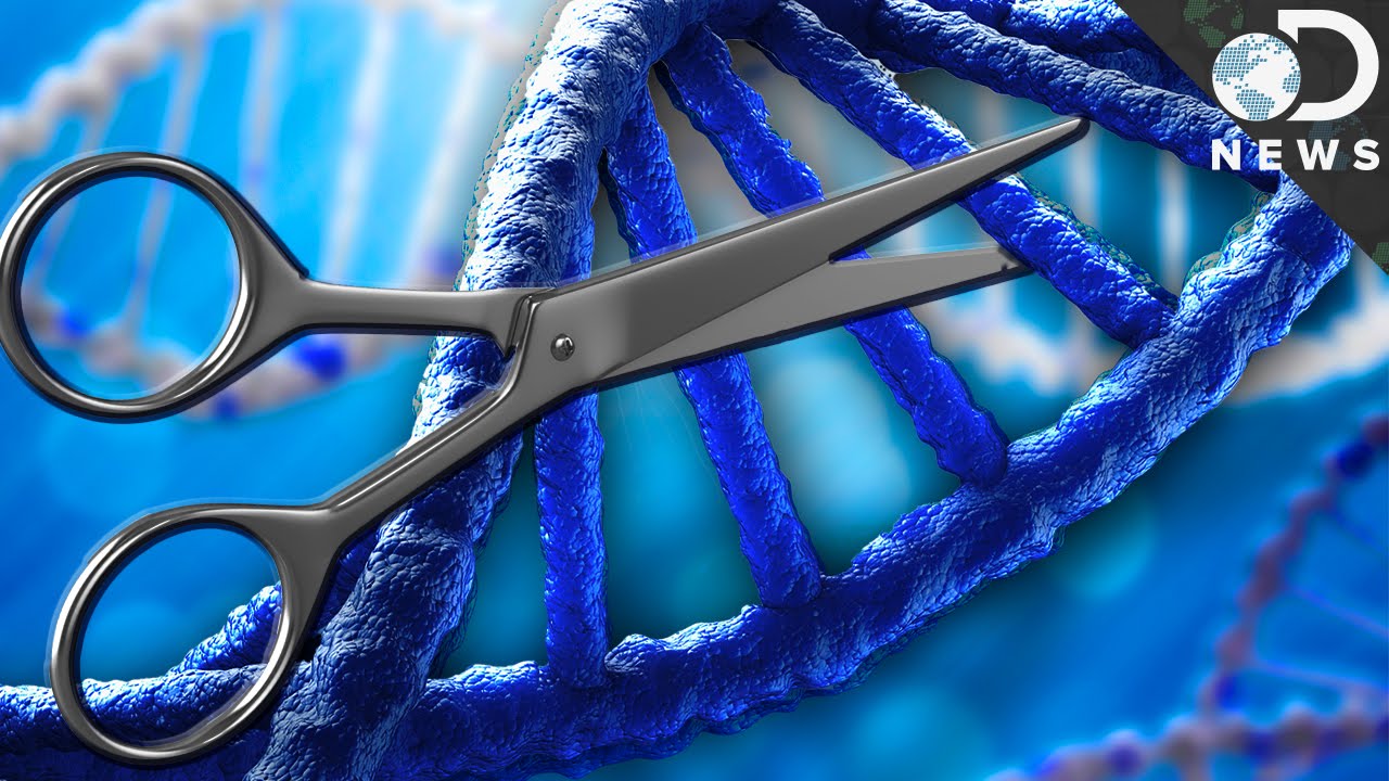 What is CRISPR & How Could It Edit Your DNA? - The Mind Voyager
