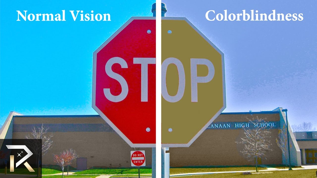 10 Ways Color Blind People See the World - The Mind Voyager