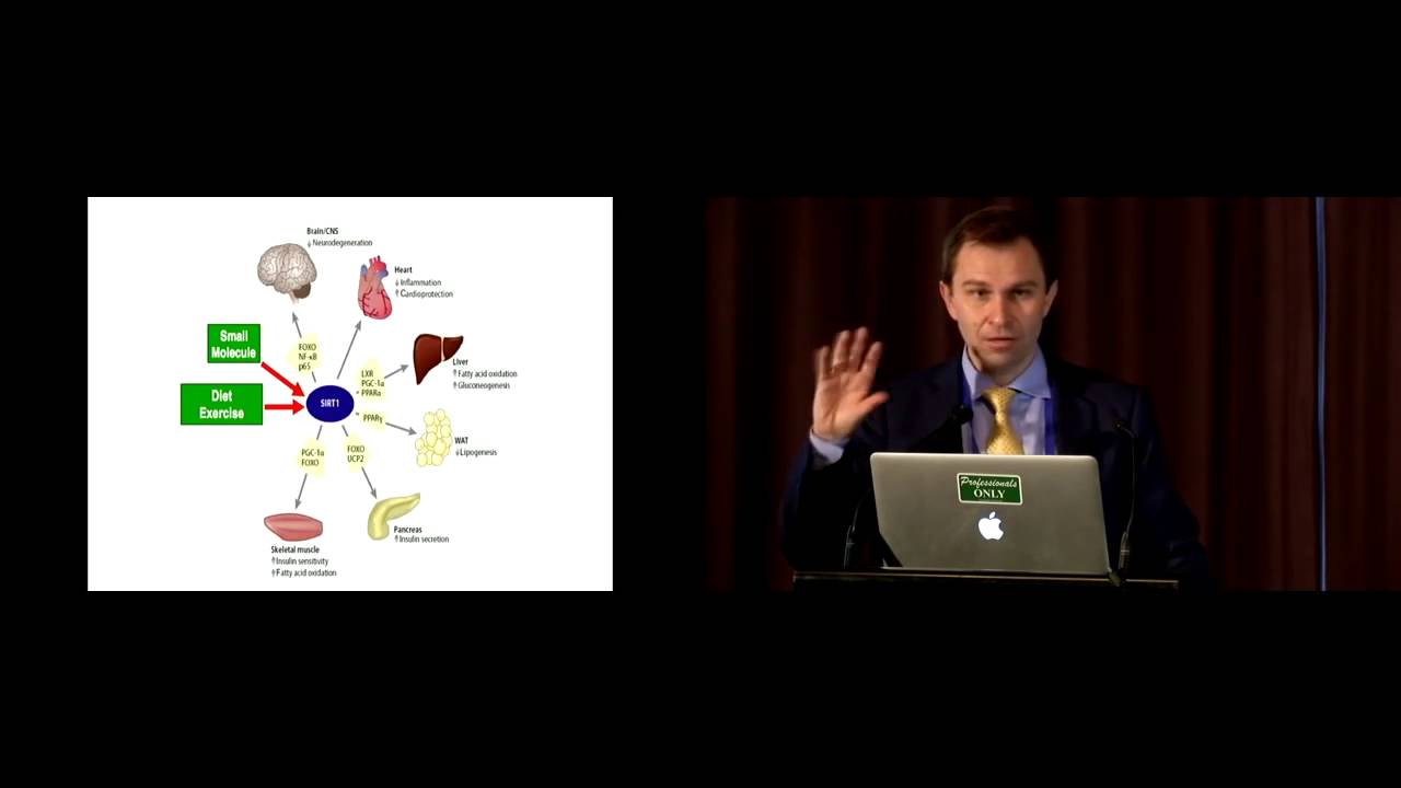 David Sinclair: Reversing Aging - The Mind Voyager