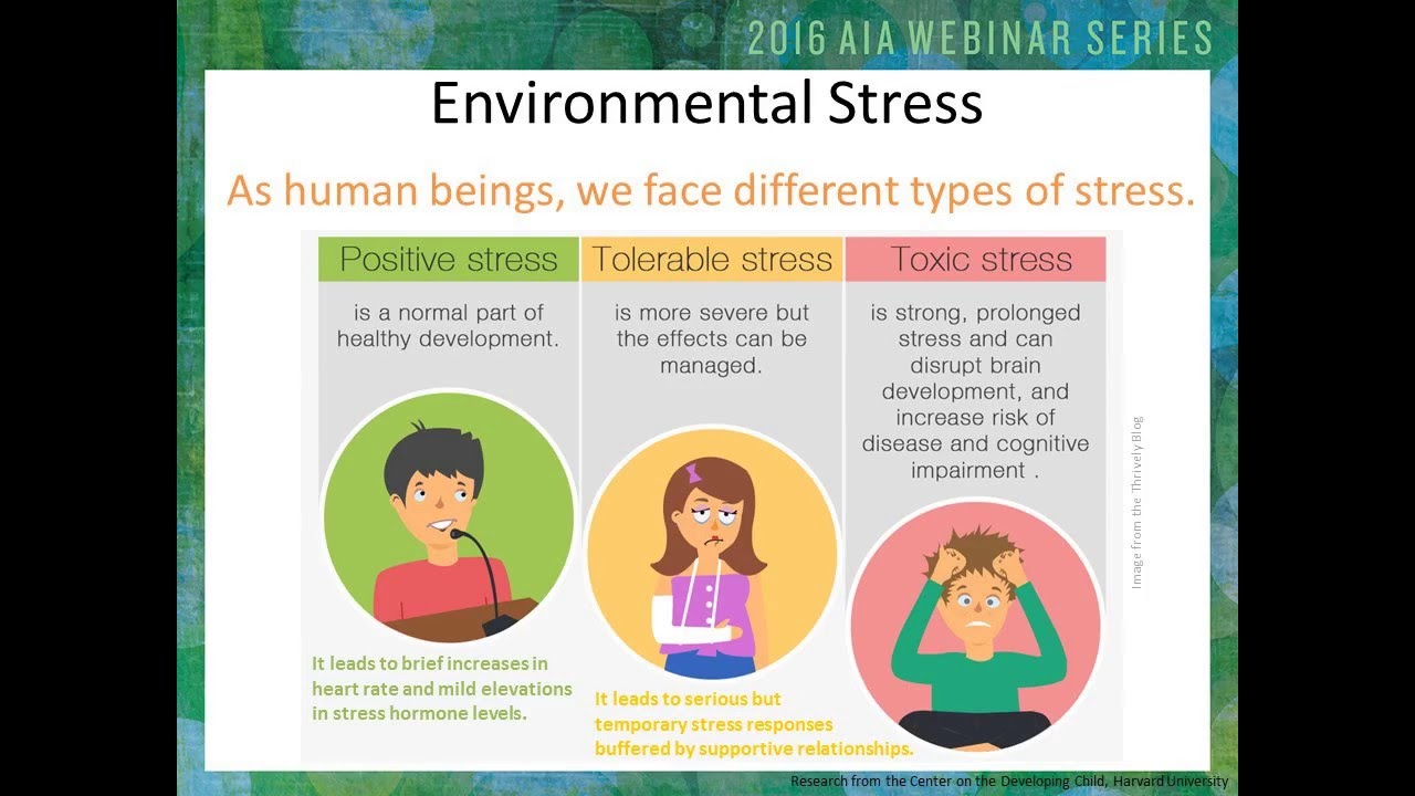 Stephanie Jones: Executive Function and Self-Regulation in Context: The ...