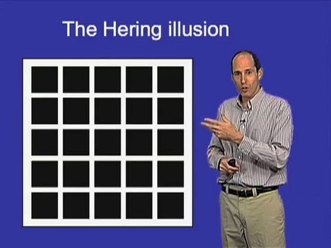 Jeremy Nathans: The Hering Optical Illusion - The Mind Voyager
