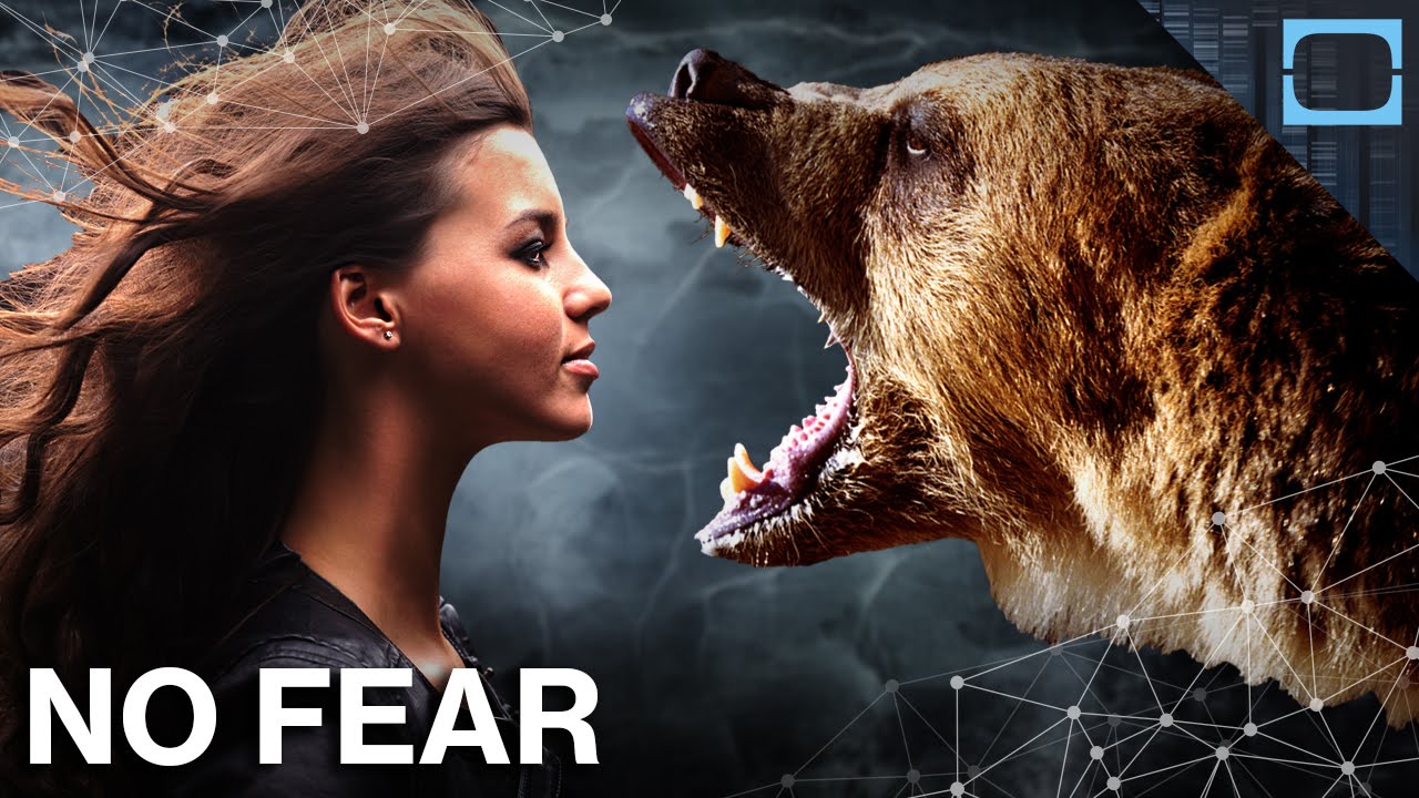 What Would Life Be Without Fear? - The Mind Voyager