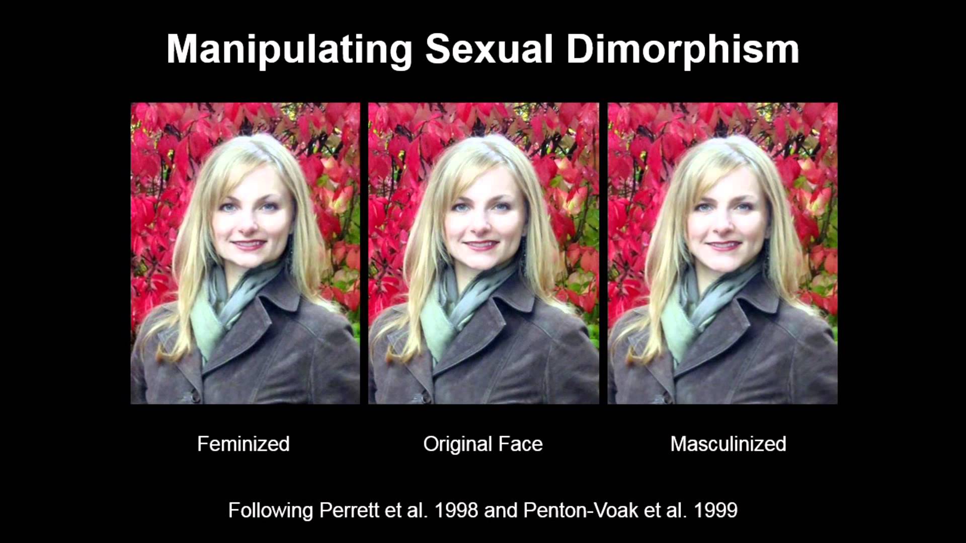 Lisa Welling: It’s not you, it’s my hormones Testosterone Influences ...