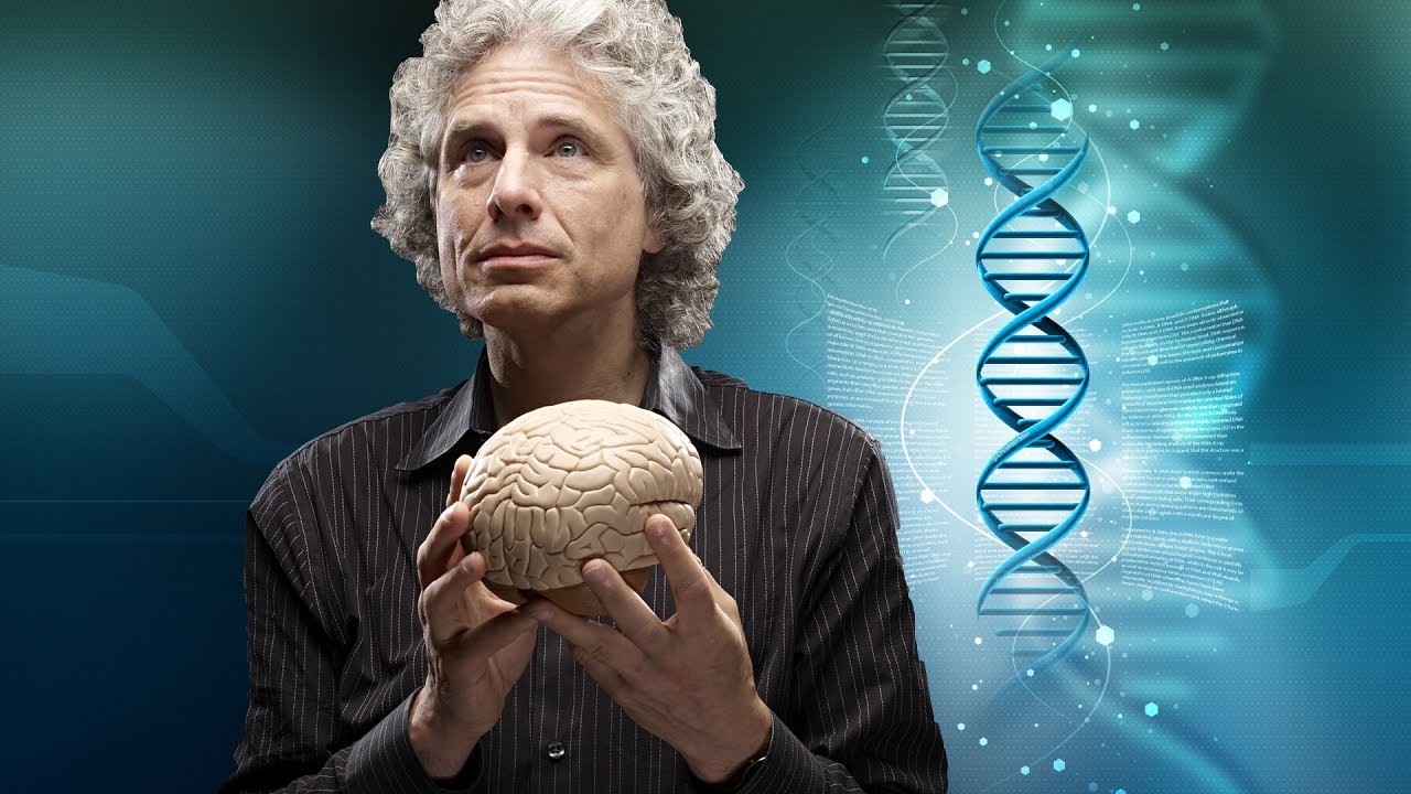 Steven Pinker: The Origins of Language, Reason & Violence - The Mind ...