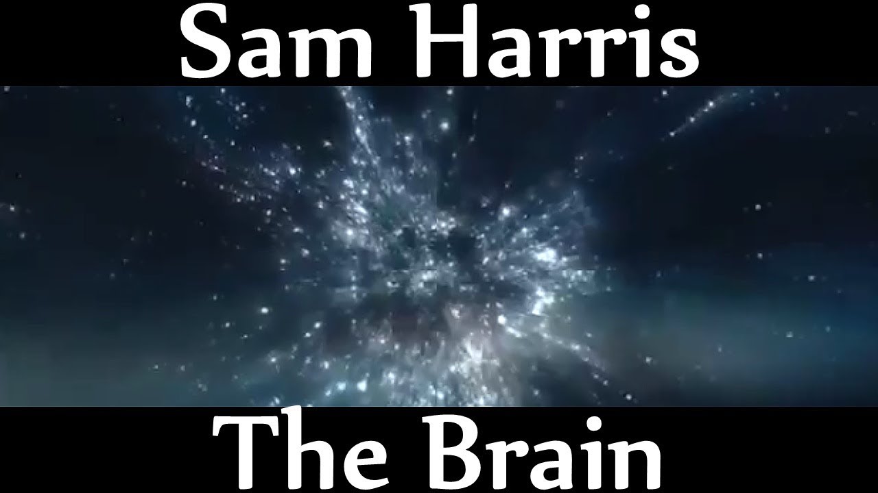 Sam Harris: The brain - The Mind Voyager