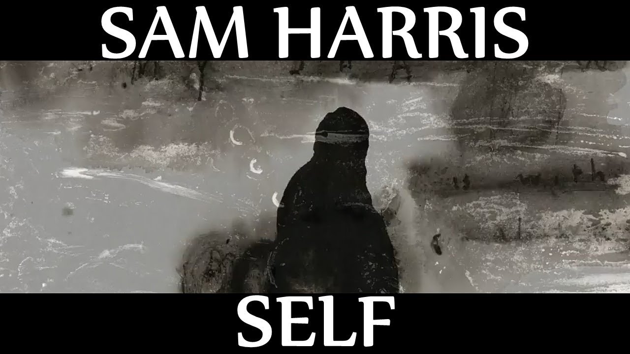 Sam Harris: The Self - The Mind Voyager